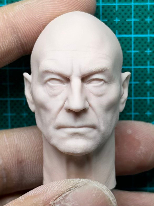 Professor X – 1/6 Scale Unpainted Action Figure Head Sculpt – TDRH Studio